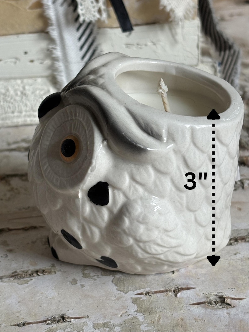 Chocolate Scented Ceramic Owl Candles / Cream and Black / Black ...