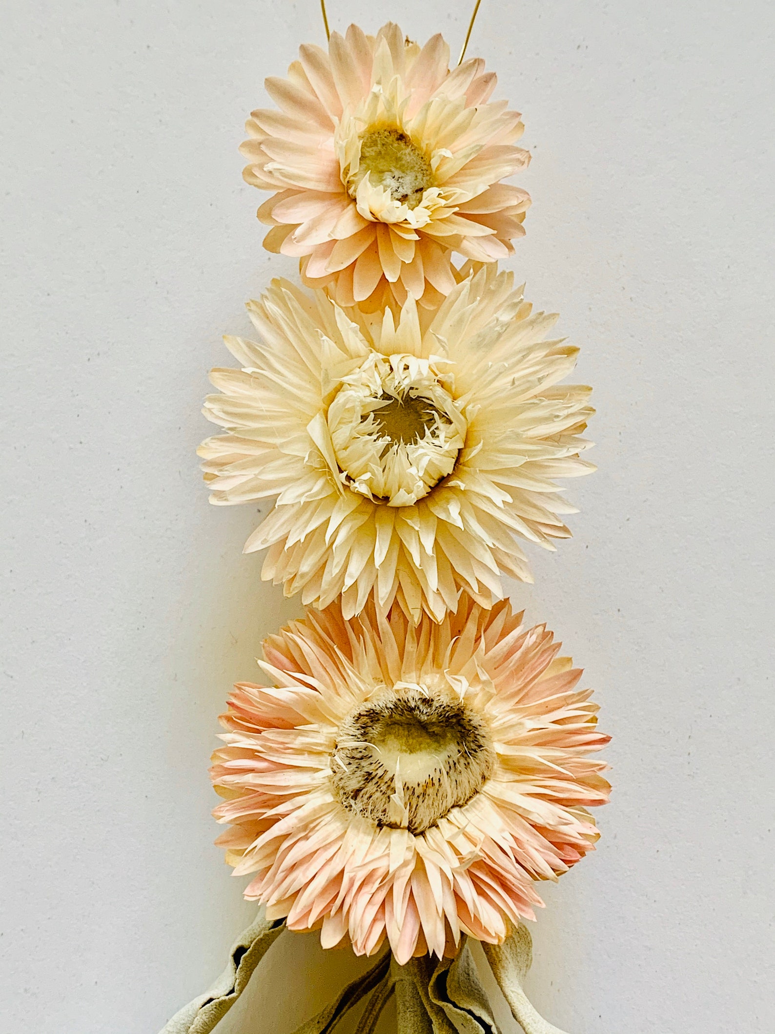 White Sage Ornaments With Straw Flowers Sage Clusters Smudge - Etsy