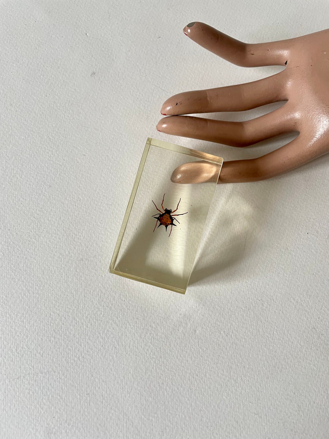 Vintage Paperweight Polymer Taxidermy Insect Tiny Spider in Plexiglass ...