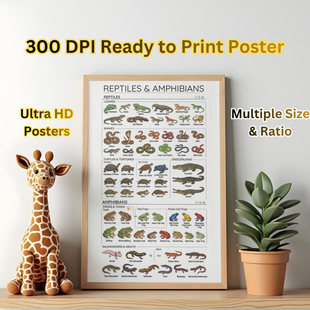 Reptiles and Amphibians Poster, Reptile Classification Chart, Snake ...