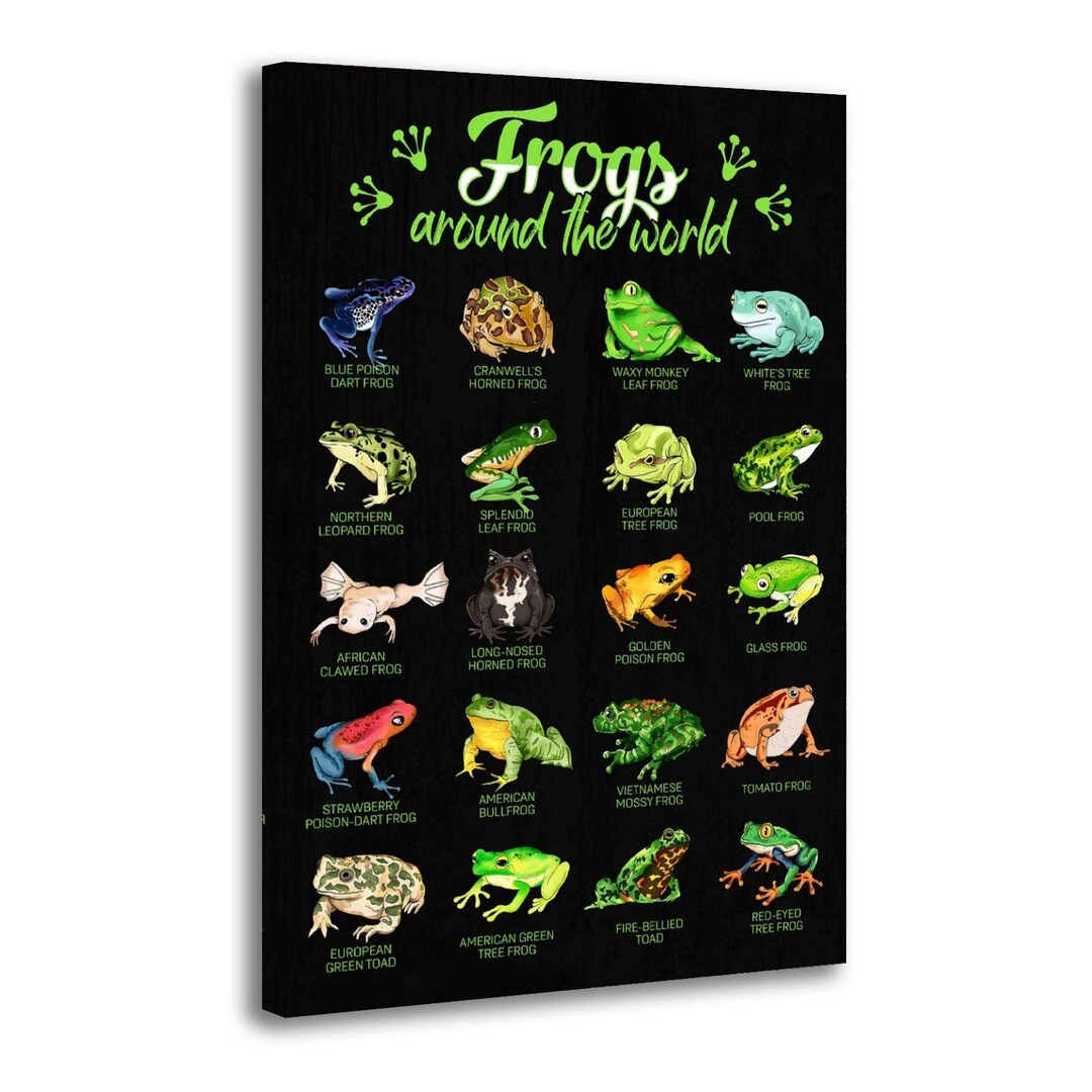 Frogs Around the World Poster, Amphibian Biology Frog Print, Animal ...