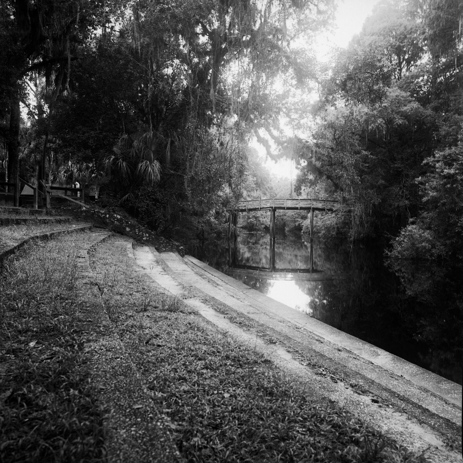 Bridge Over River Swamp Thonotosassa Florida Fine Art Print Living Room ...