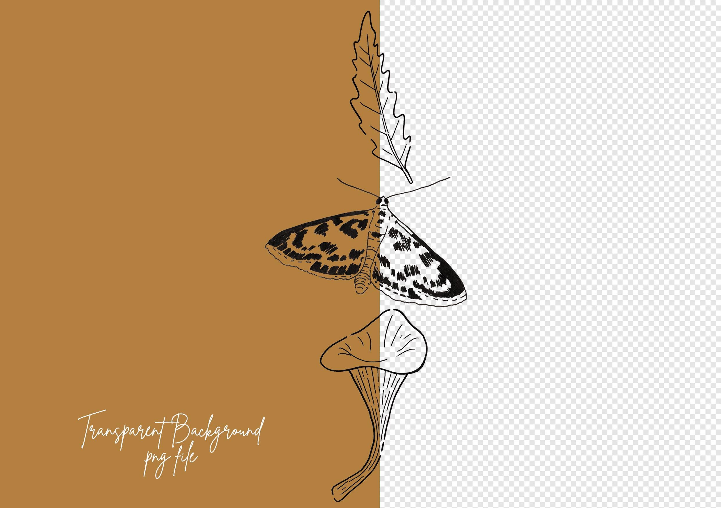 Wald PNG, Wald PNG, Outdoor Abenteuer PNG, Handgezeichnete Linie Kunst ...