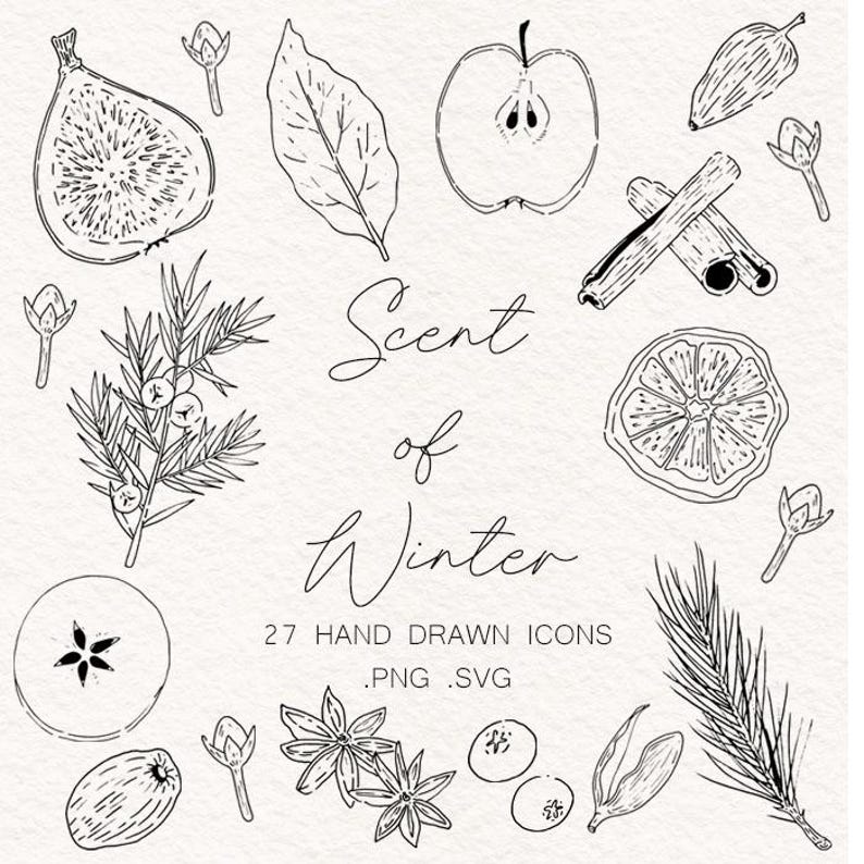 Winter Autumn PNG SVG, Fall Nature and Food Png, Hand Drawn Line Art ...