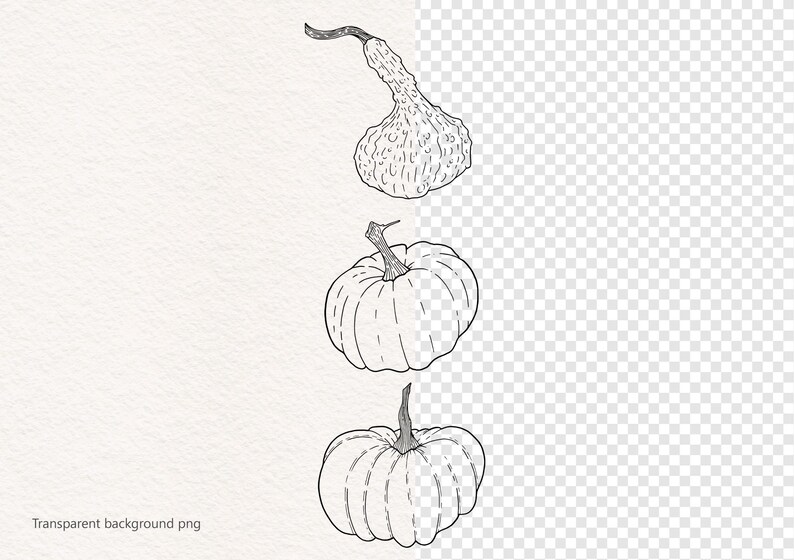 Pumpkins and Gourds PNG, Fall Clipart, Autumn Pumpkin Png Svg, Hand ...