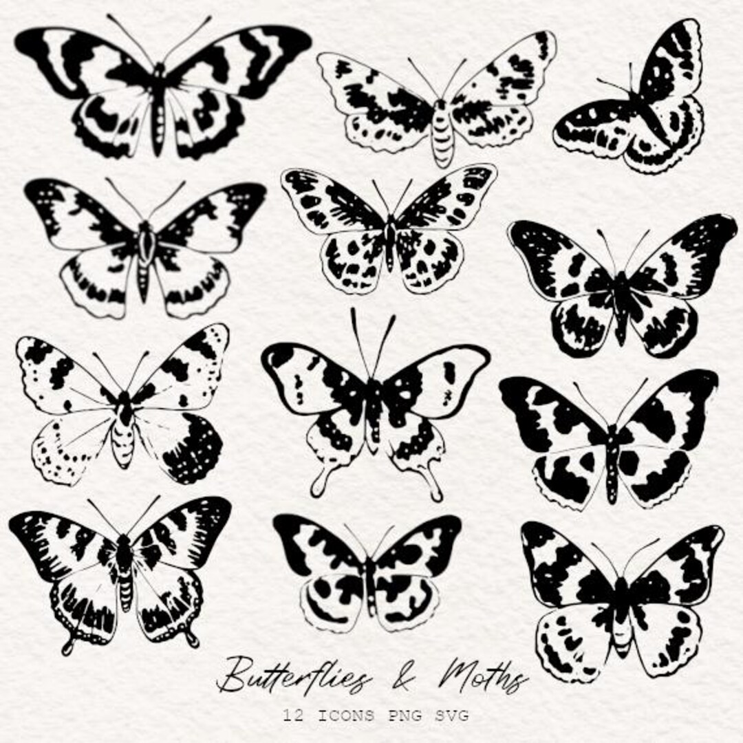 Butterfly & Moth Clipart Set: Hand-drawn Vintage Insect Illustrations ...