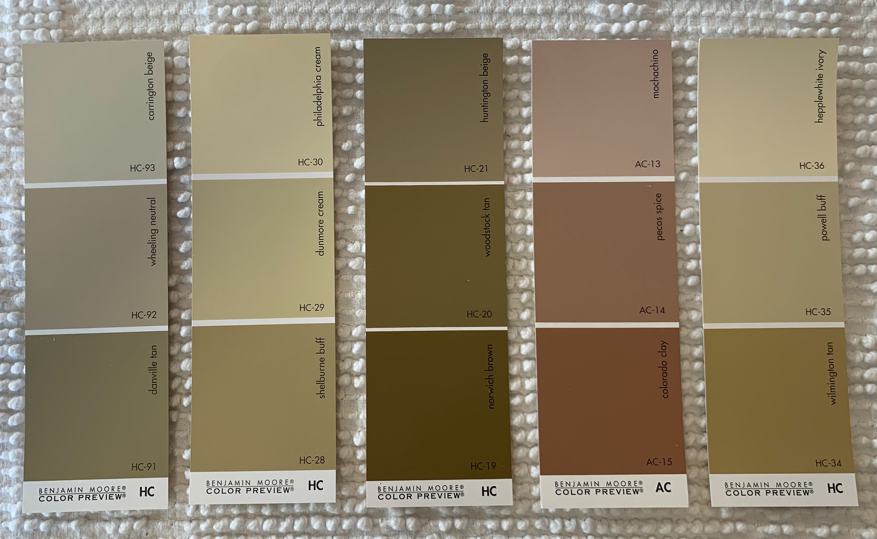 Paint Chip Sample Strips 2x6 Set of 20 Strips | Etsy