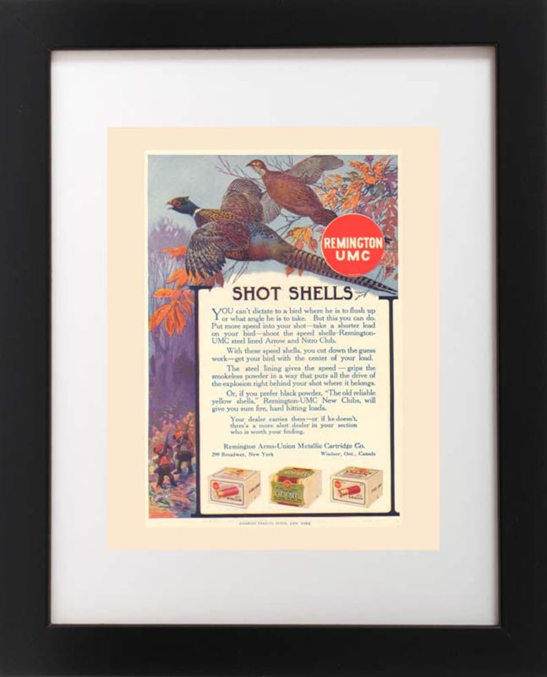 Antique Remington UMC Shotgun Shell PHEASANT Bird Hunting Gun ...