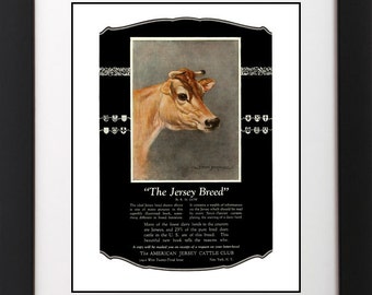 Dairy Cattle Poster - Etsy