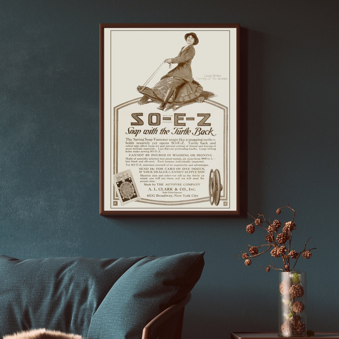 Antique Giant Tortoise Galapagos Turtle Riding Woman Actress Movie ...