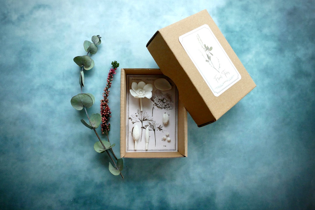 Herbarium Box With Porcelain Flowers 'wood Anemone' - Etsy