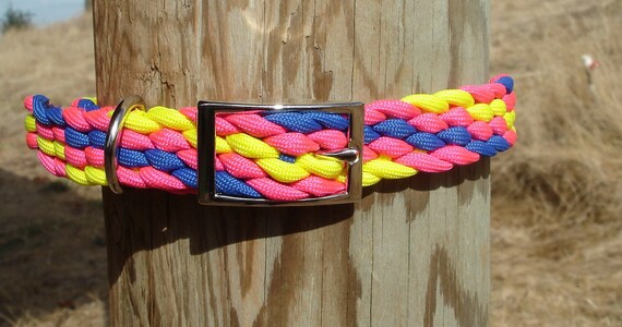 Collar Harper with Tongue Buckle Adjustable | Etsy