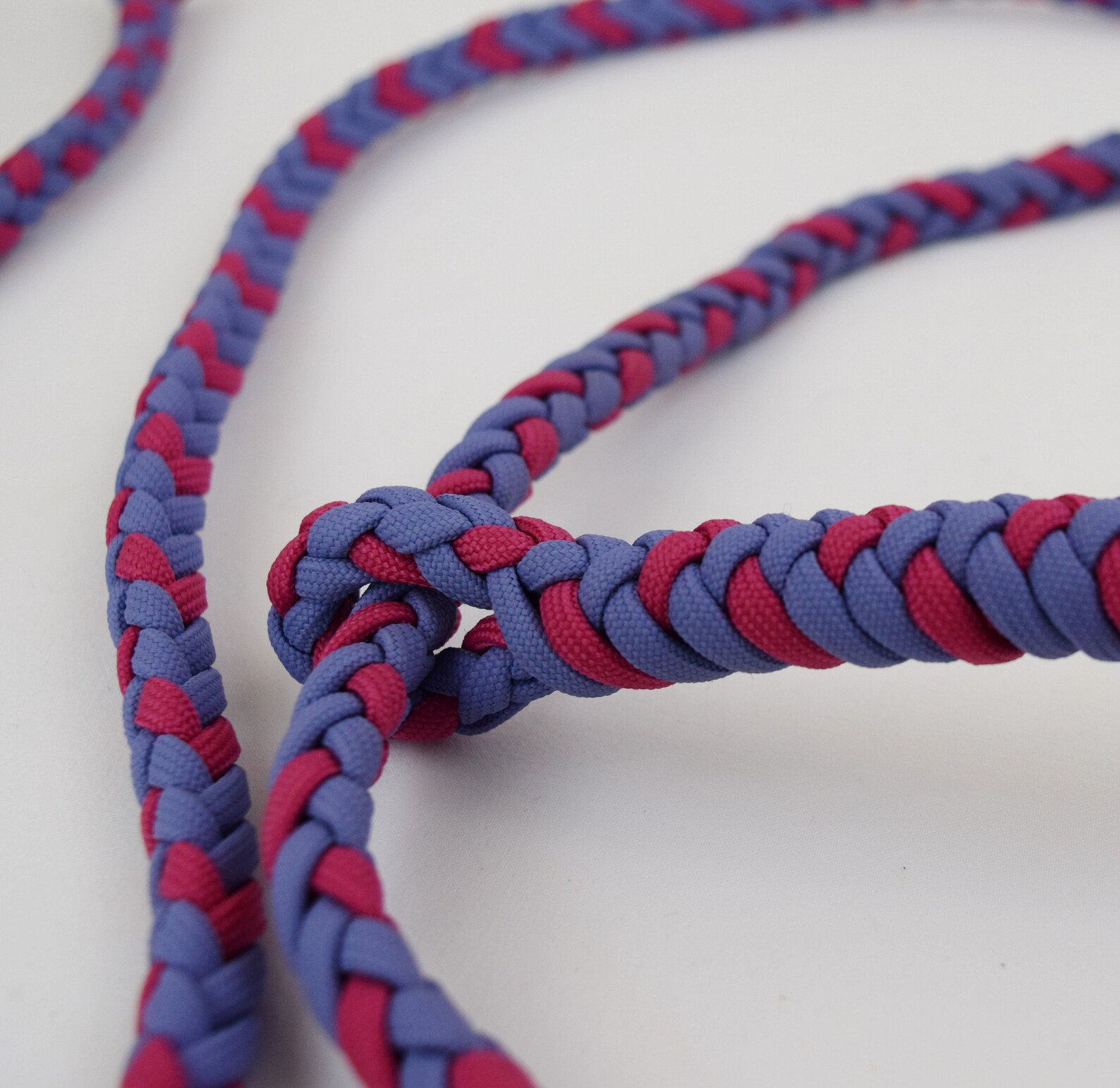 Goat / Sheep Rope Halter leander Braided - Etsy