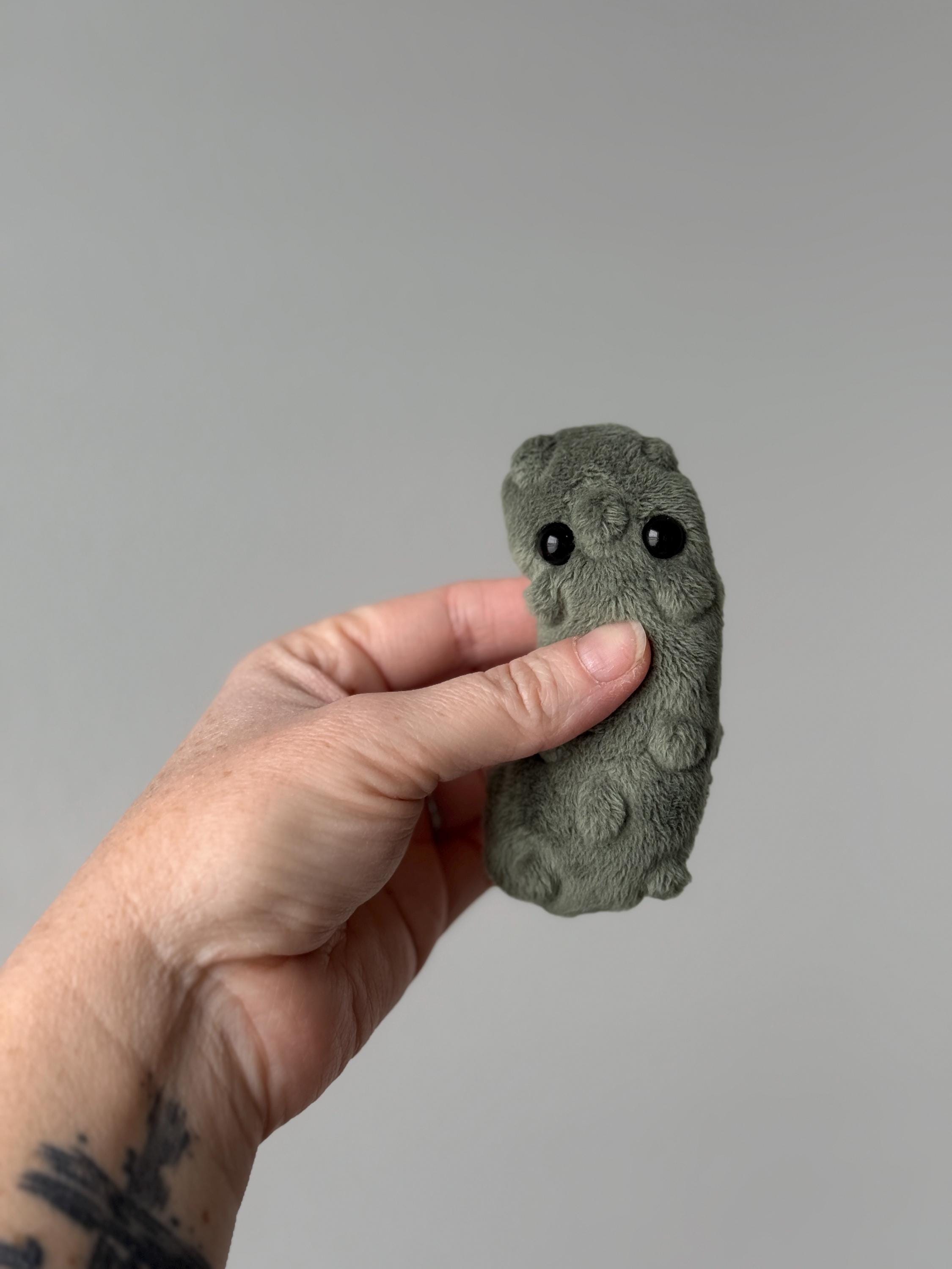 Pocket Pickle Beanie Fidget Toy - Etsy