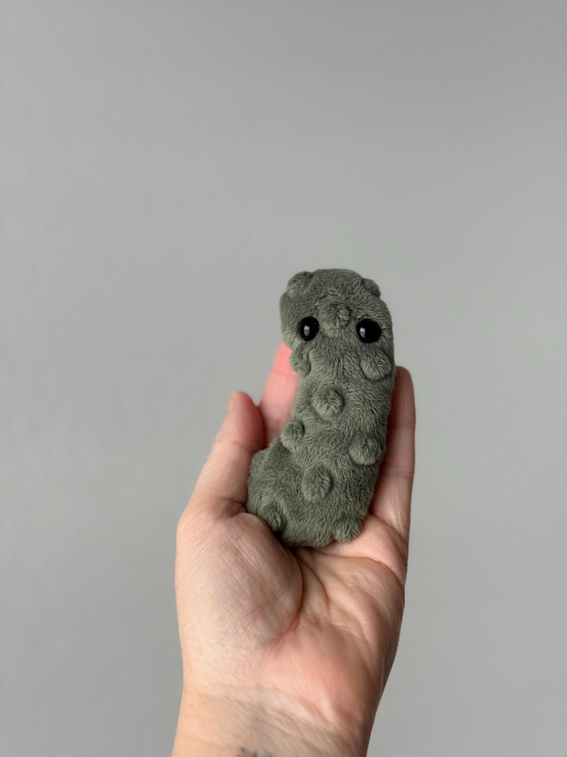 Pocket Pickle Beanie Fidget Toy - Etsy