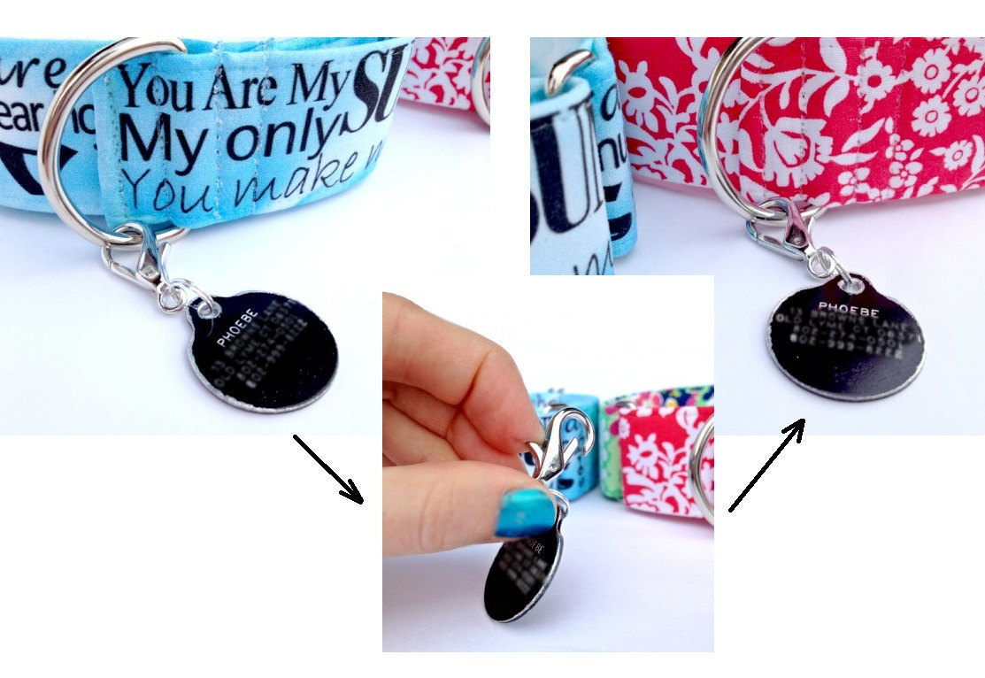 Easy Dog Tag Changer, Dog Collar Id Tag Clip With Lobster Clasp and ...