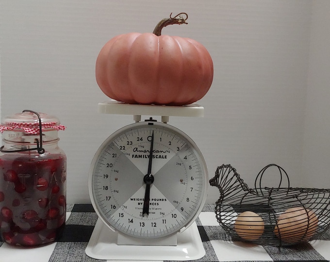 Vintage Scale, Vintage American Family Scale, Vintage Kitchen Scale ...