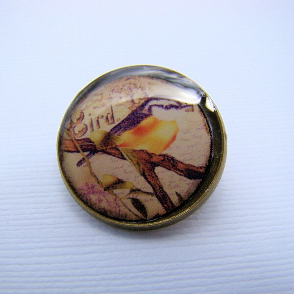 Bird Enamel Pin - Etsy