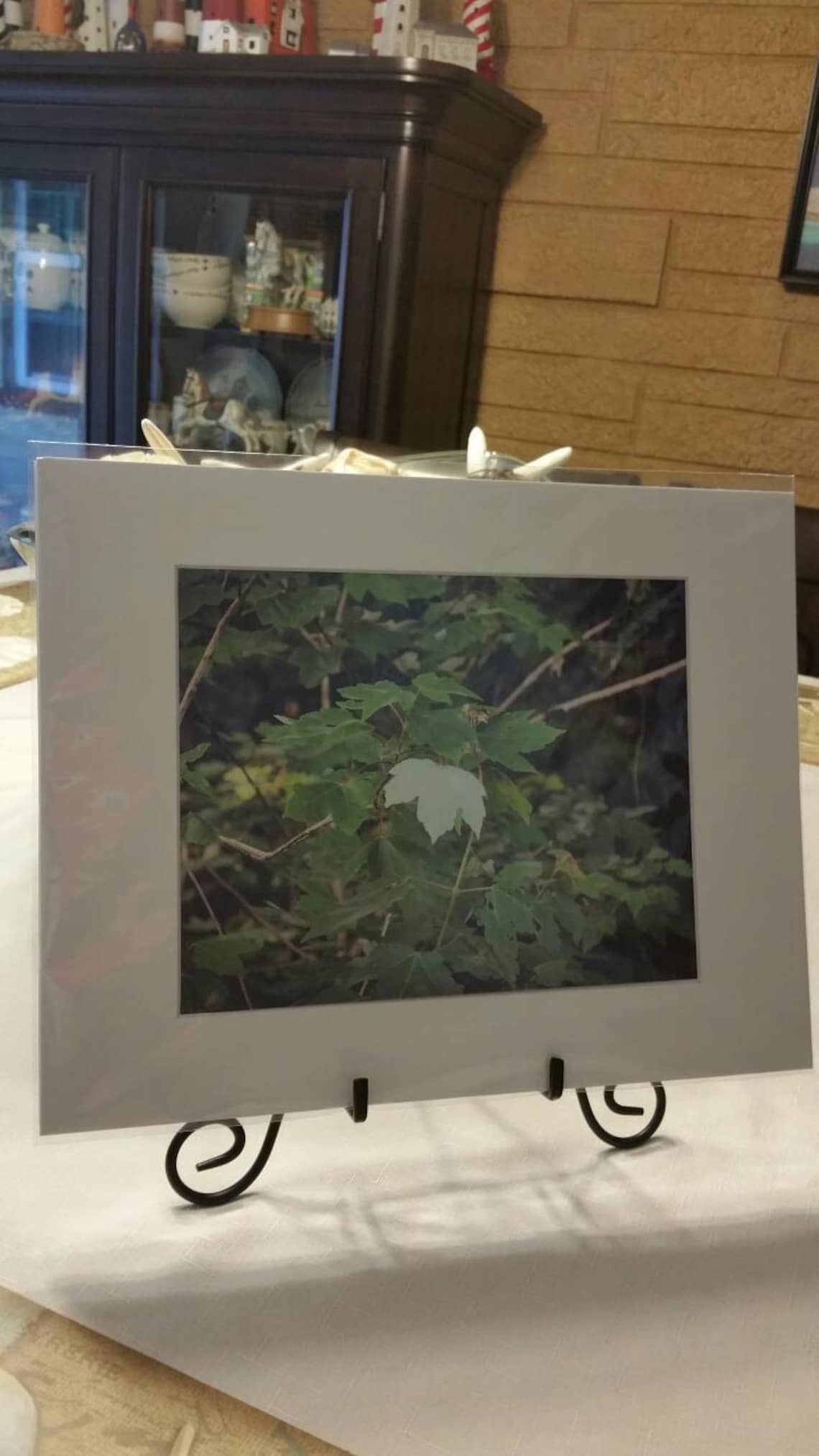 Maple Leaf, Nature Photography, 8X10, Mat, Forest, Trees, Glossy, Fine ...