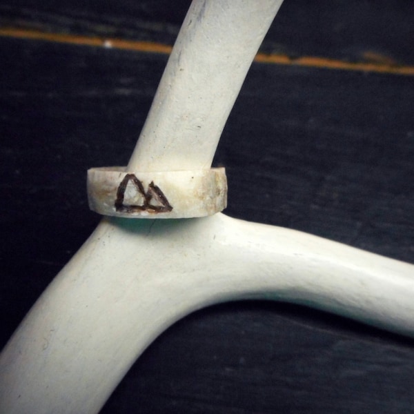 Genuine Coyote Molar Teeth, Set of 3 Drilled, for Crafts, Jewelry ...