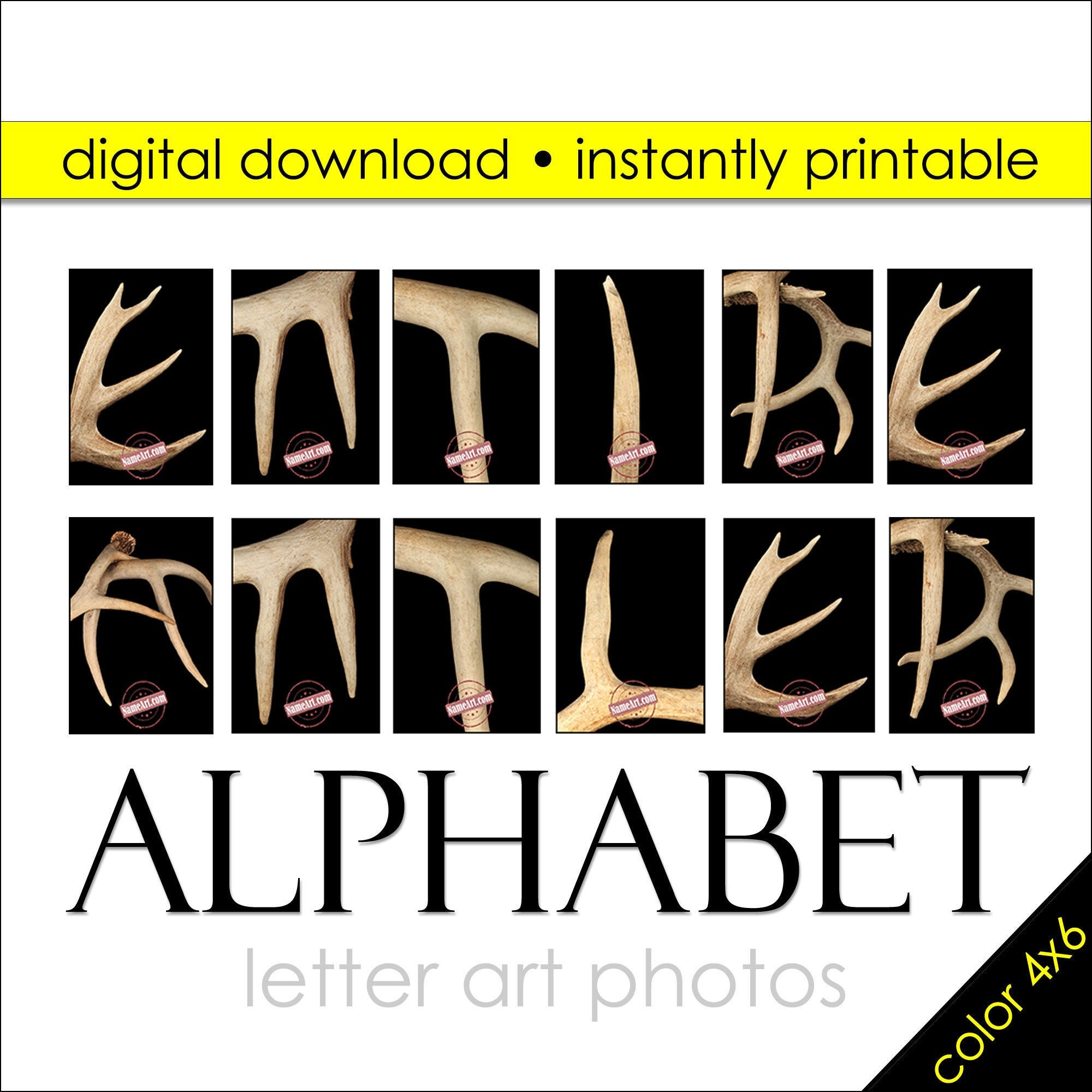 Printable Antler LETTER ART 4x6 photos. Entire alphabet set | Etsy