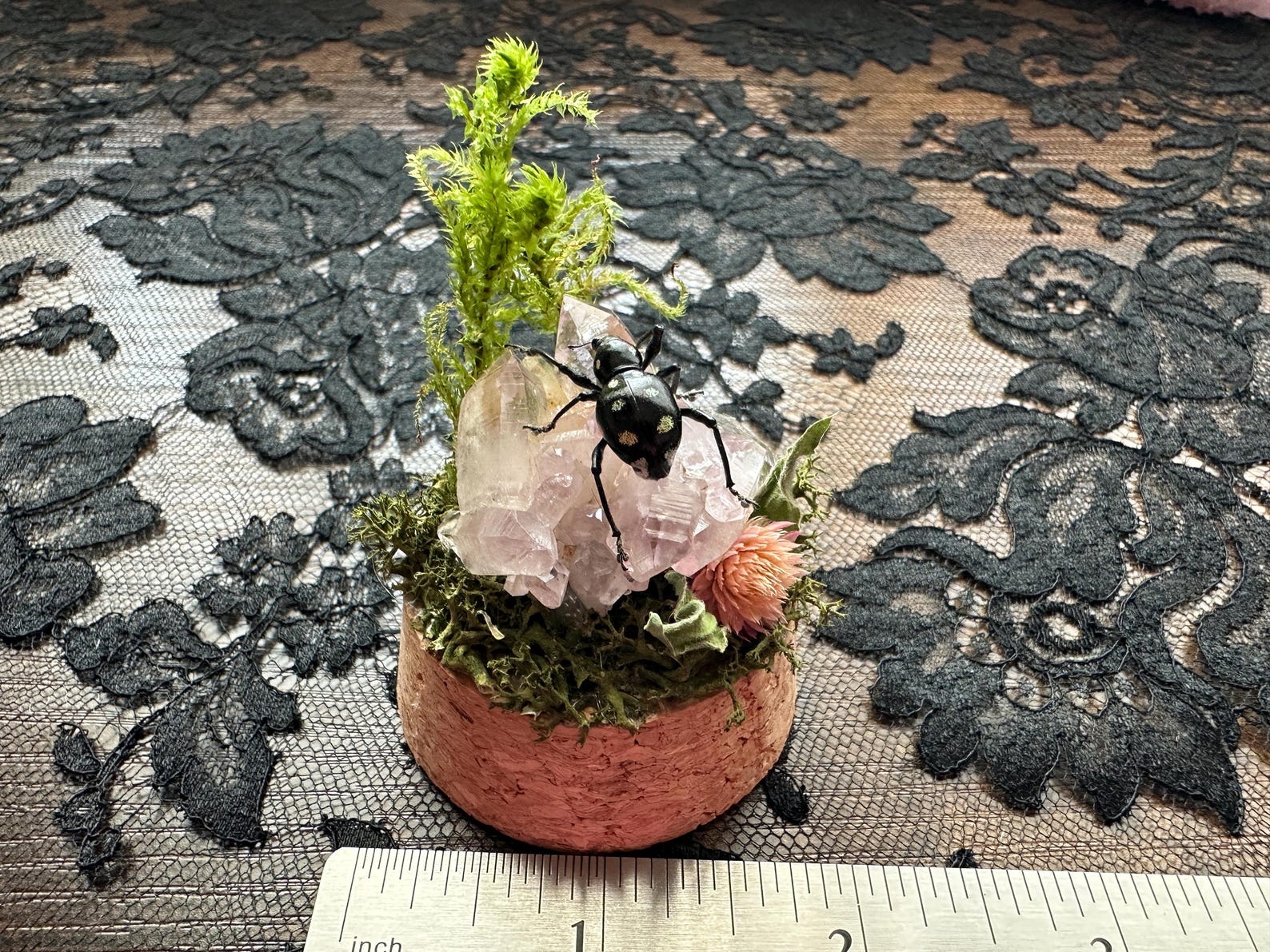 Weevil Diorama, Glass and Cork Cloche, Vera Cruz Amethyst Crystal ...