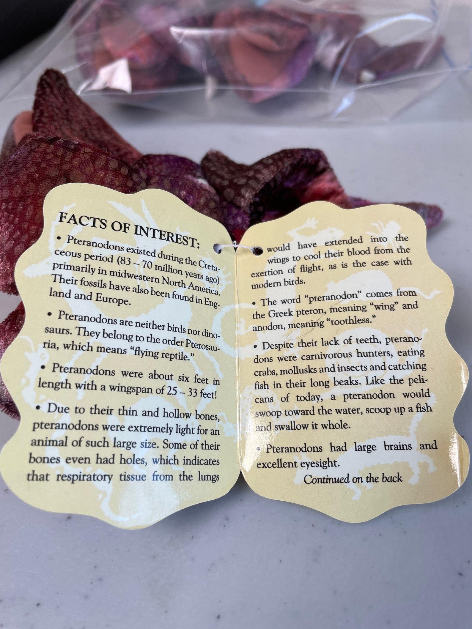 Pteranodon Puppet Folkmanis at Velmasvintagetoys - Etsy