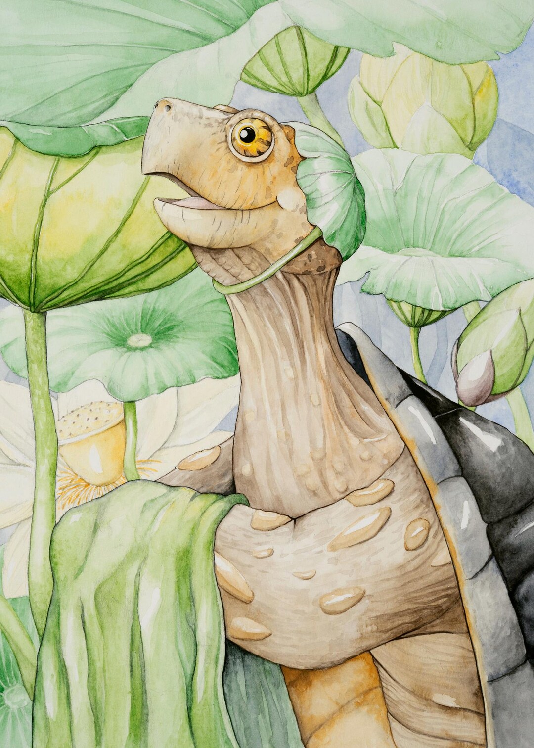 Snapping Turtle With American Lotus, 5"x7" Notecard of My Original ...