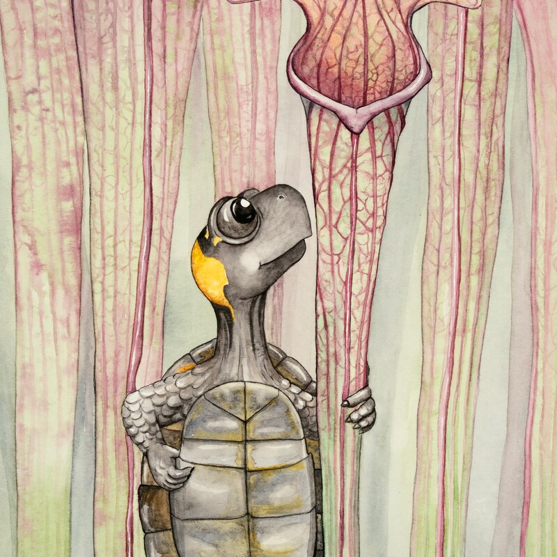 Turtle Whimsical Painting - Etsy