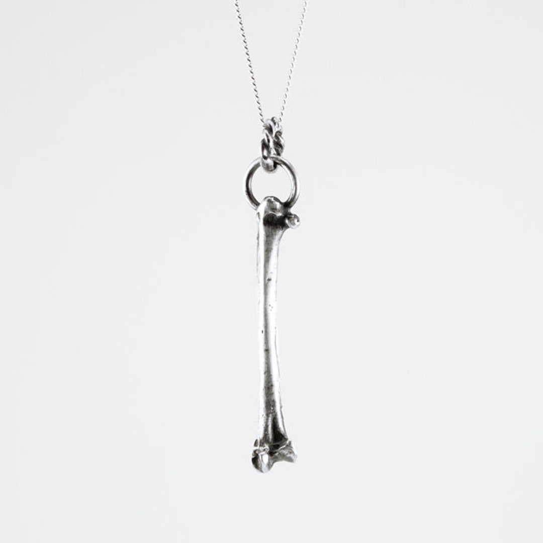 Bird Bone Sterling Silver Gothic Talisman Necklace - Witchcraft, Pagan ...