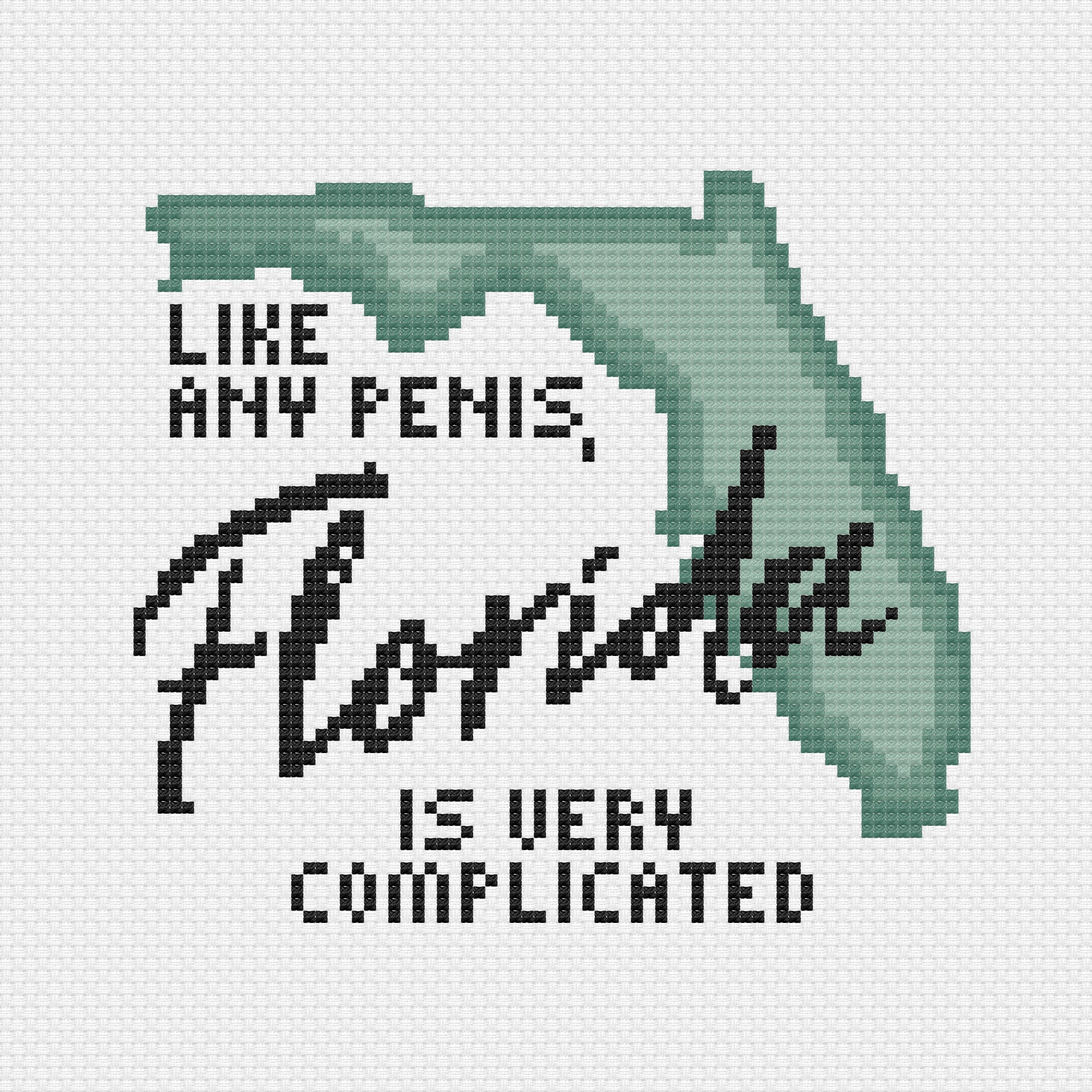 Like Any Penis, Florida is Very Complicated Cross Stitch Pattern - Etsy