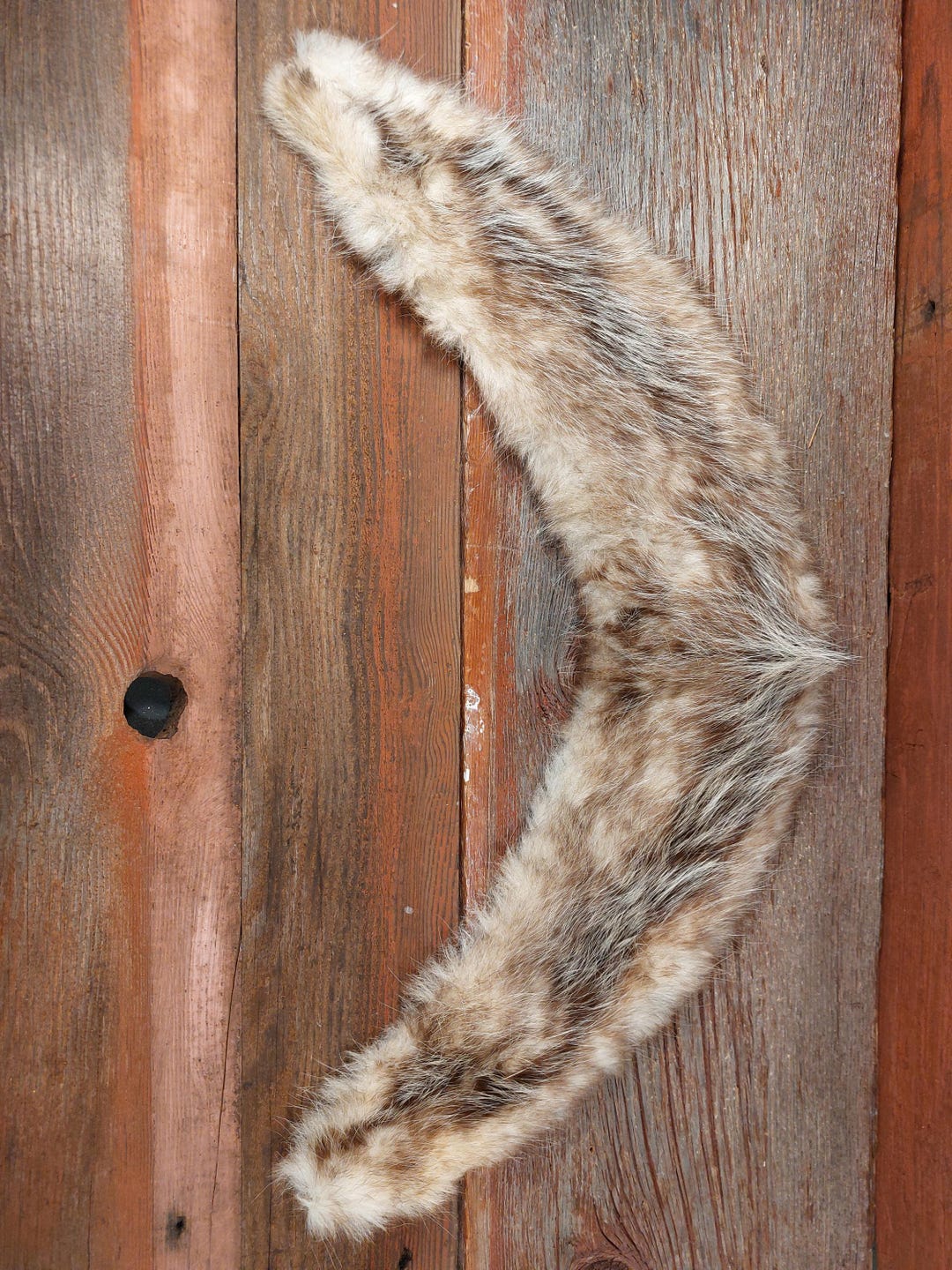 Vintage Coyote or Fox Fur Ruff Collar 25 Long - Etsy