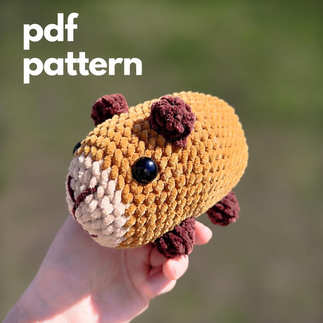 Capybara Crochet Pattern, Easy Crochet Project for Beginners, (digital ...