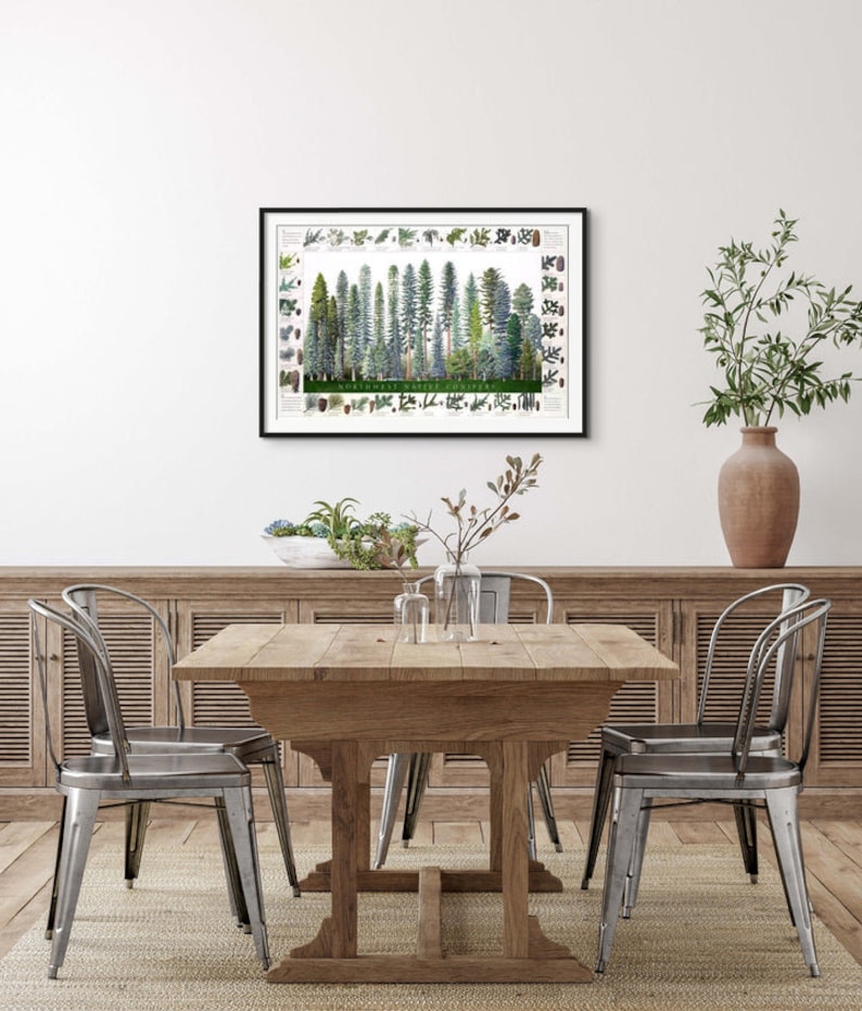 Northwest Conifers Tree Poster Identification Chart. Forest Tree Wall ...