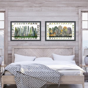 Northwest Conifers Tree Poster Identification Chart. Forest Tree Wall ...