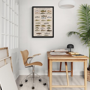 Great Lakes Fish Identification Poster, Fishermen Guide and Educational ...