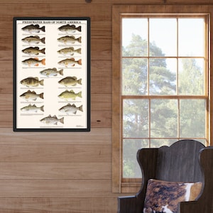 Freshwater Bass Identification Poster: Angler's Species Guide - Etsy