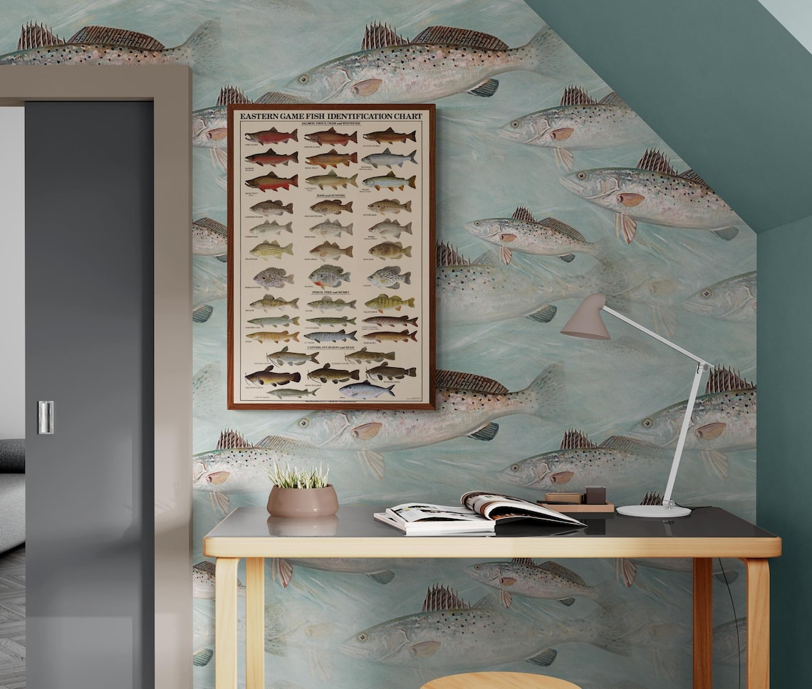 Fish Educational Poster Print | Eastern Gamefish Identification Chart ...