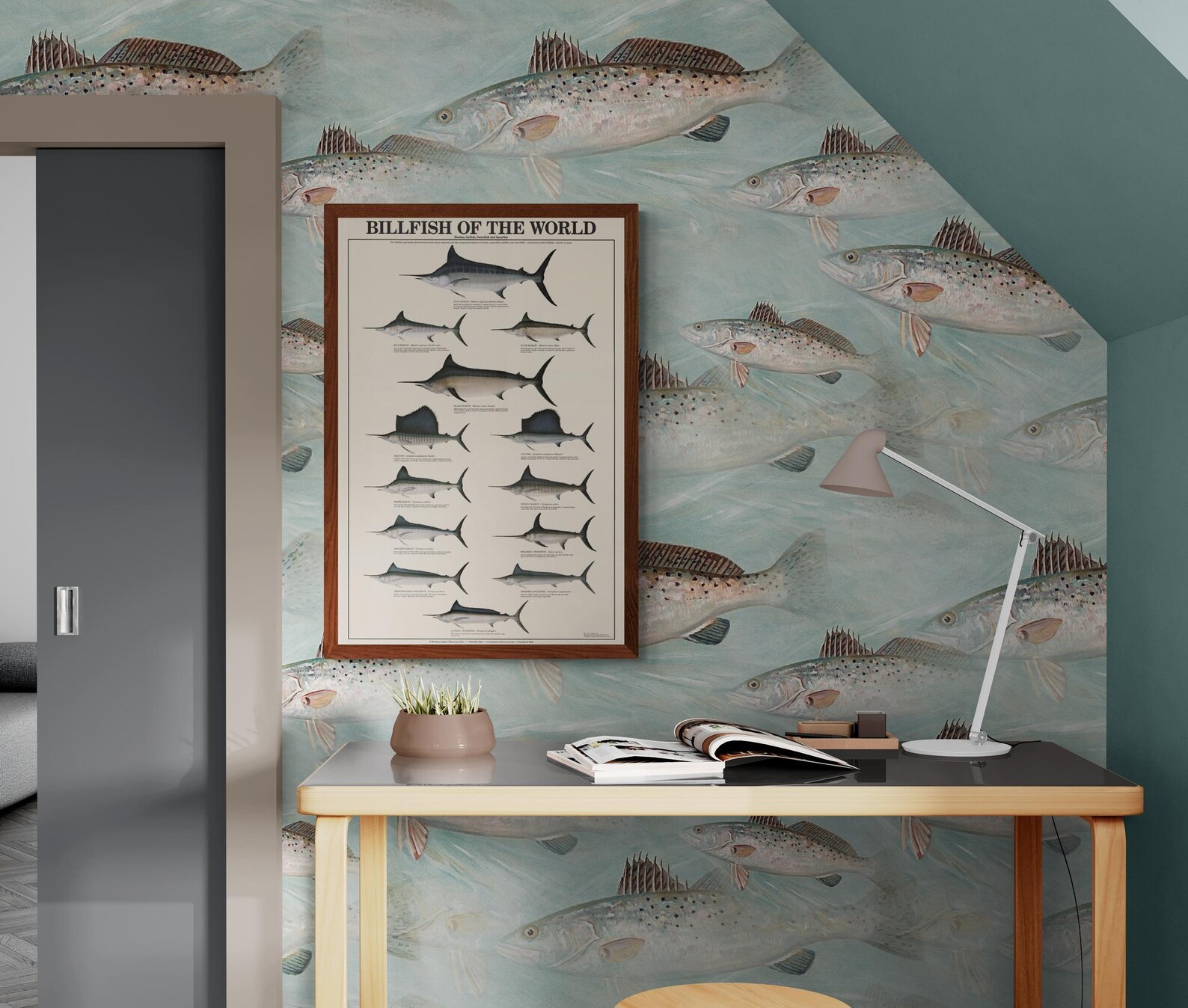 Billfish Educational Poster and Identification Chart - Etsy