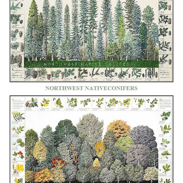 Pine Tree Poster - Etsy