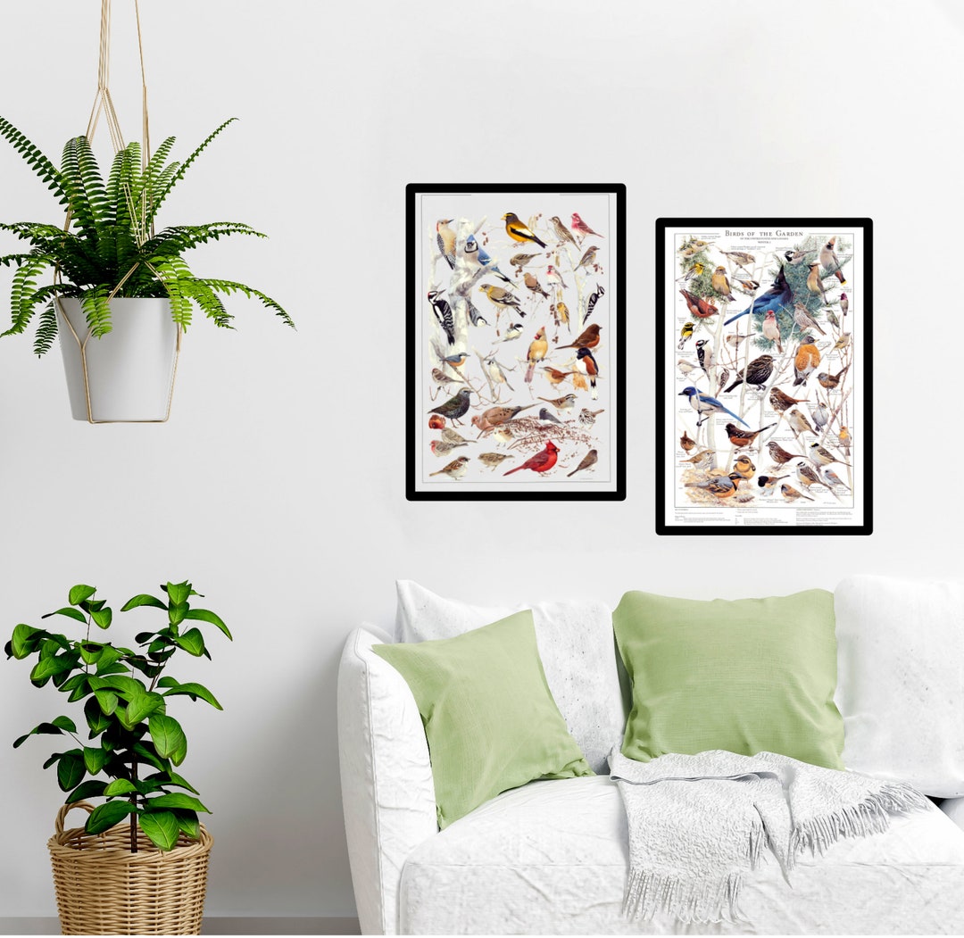 Backyard Garden Bird Posters | Western Garden Bird Print Wall Art Set ...