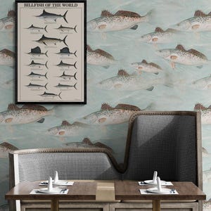 Billfish Educational Poster and Identification Chart - Etsy