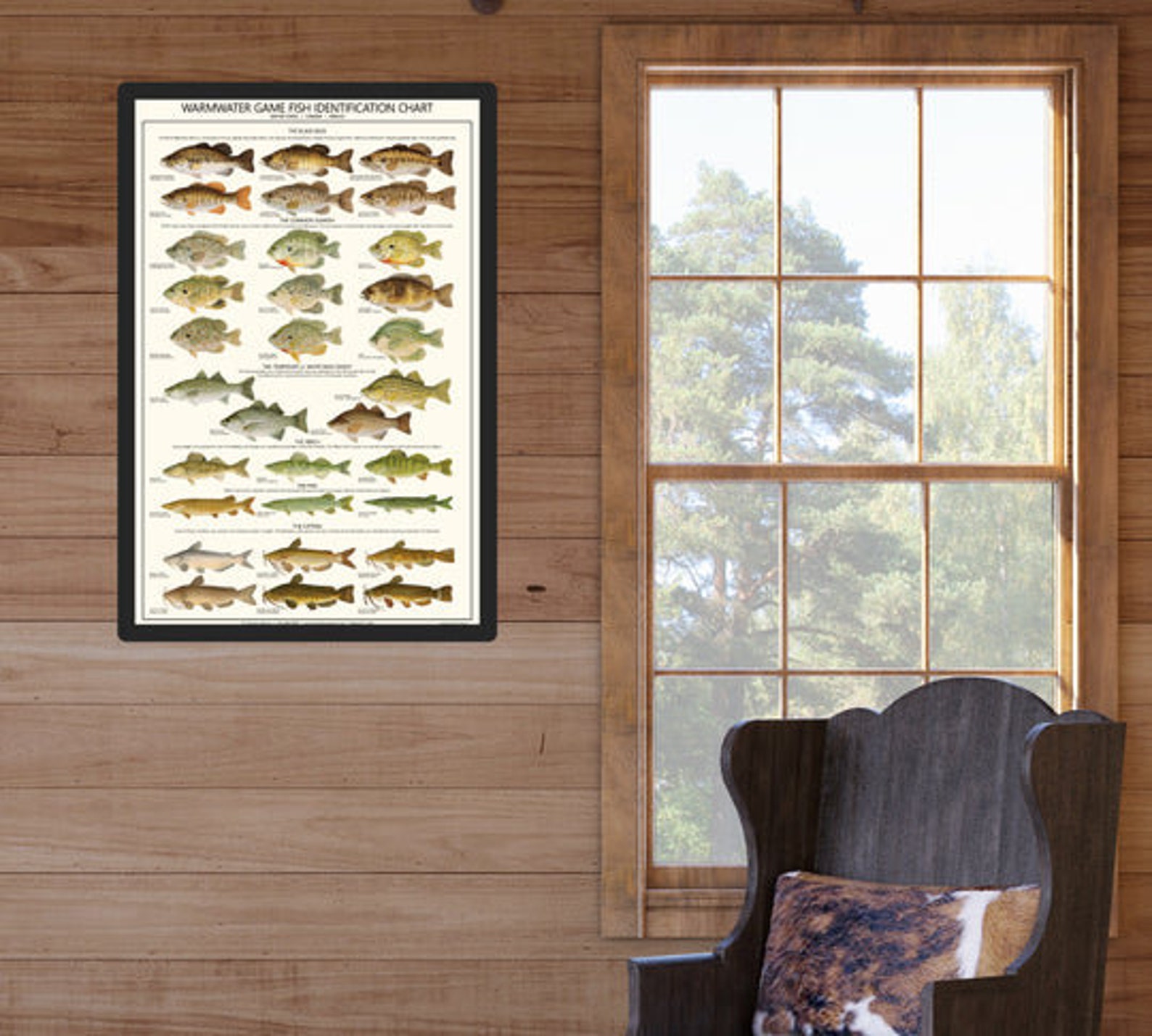 Warmwater Game Fish Poster & ID Chart - Etsy