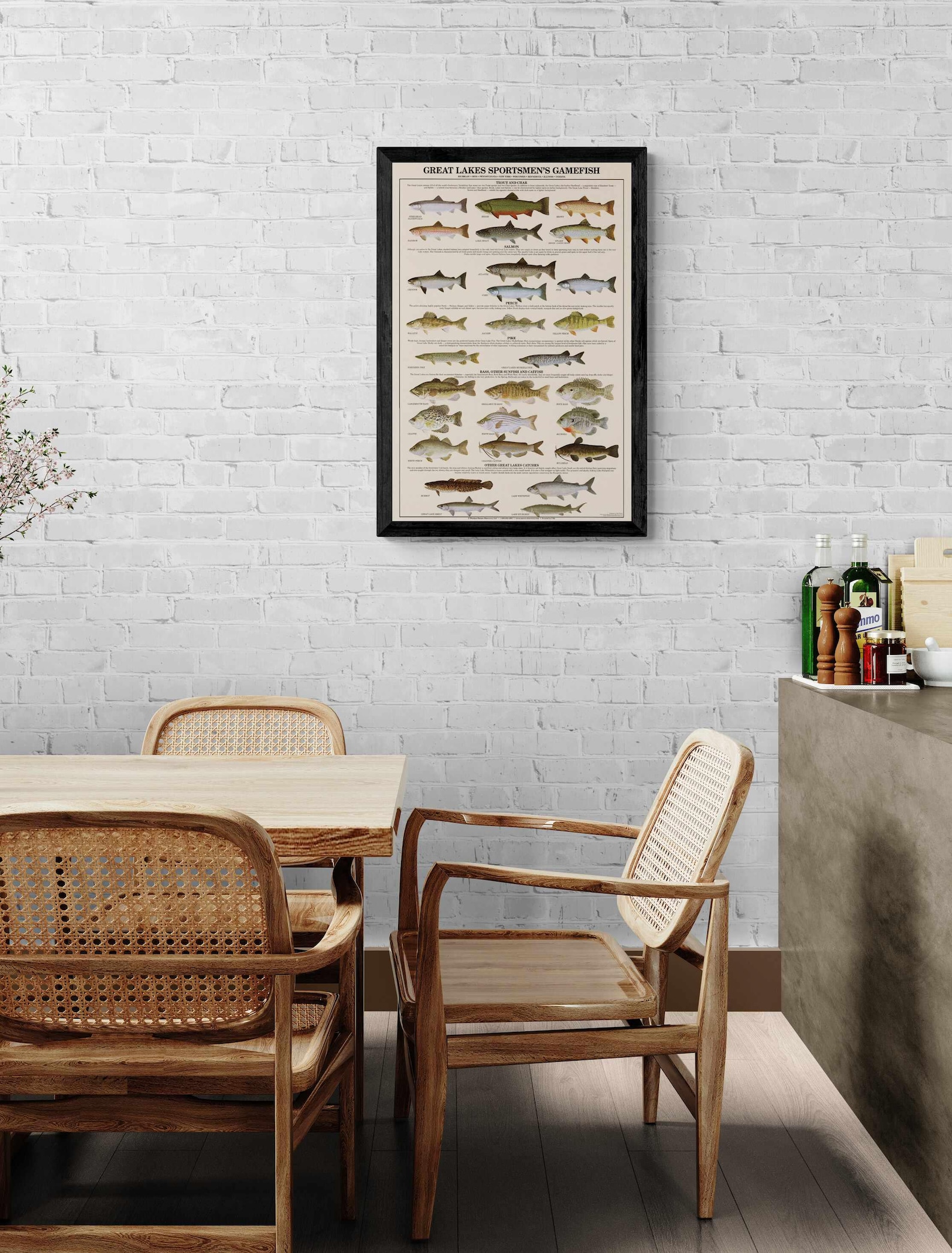 Great Lakes Fish Identification Poster, Fishermen Guide and Educational ...