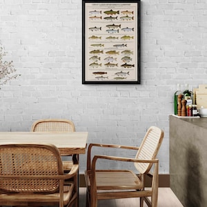 Great Lakes Fish Identification Poster, Fishermen Guide and Educational ...