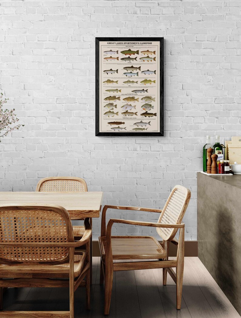 Great Lakes Fish Identification Poster, Fishermen Guide and Educational ...