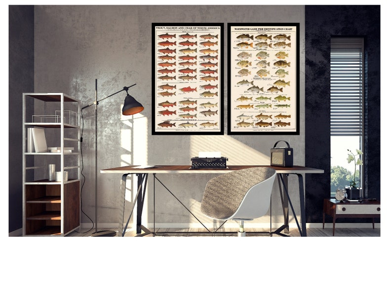 Trout Salmon Male Fish Poster and Identification Chart - Etsy