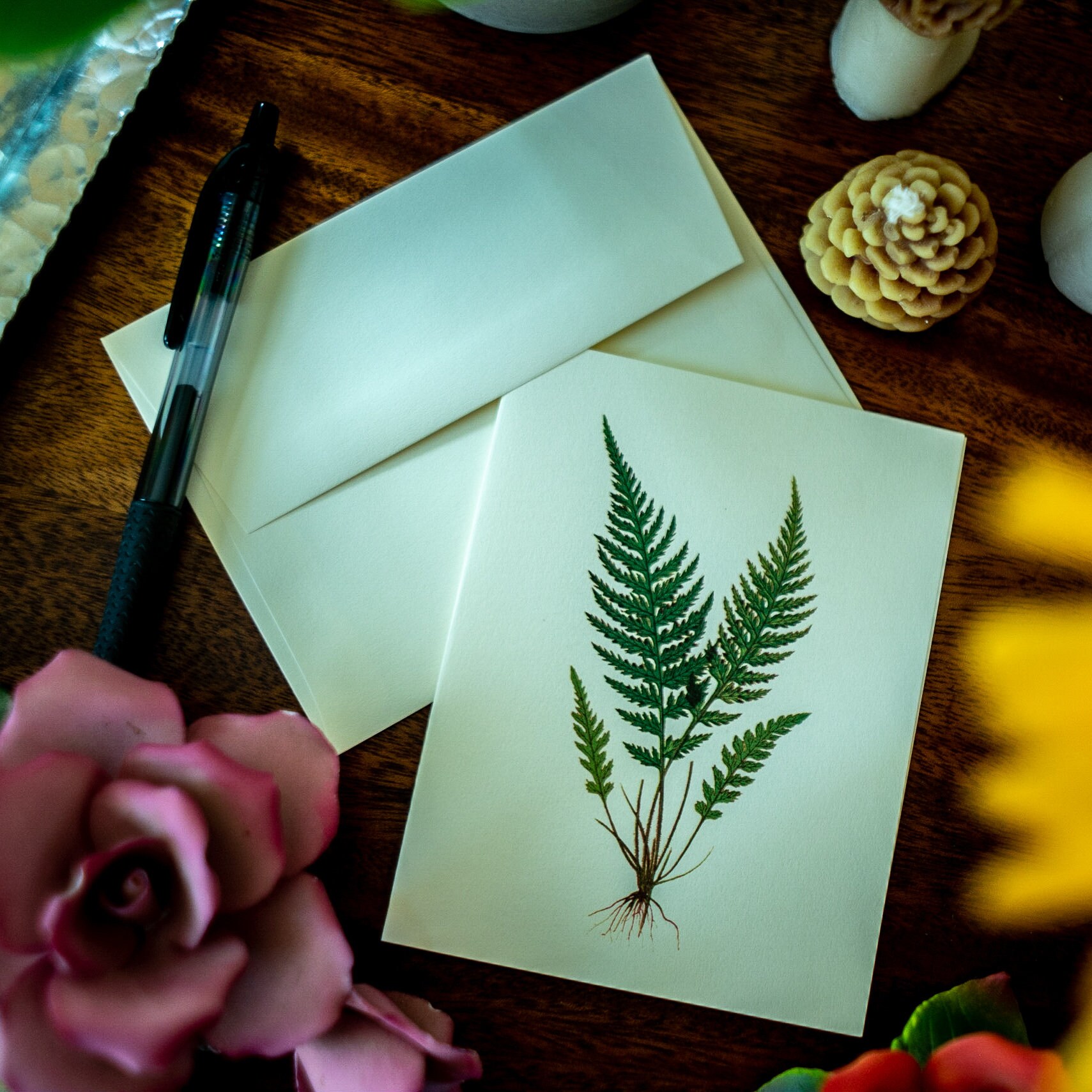 19th Century Antique Fern Illustrations Note Card Set - Etsy