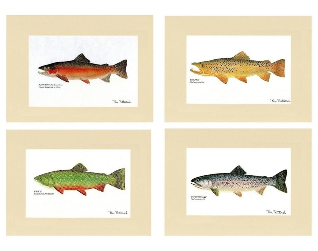 Trout Fish Print Wall Art Set - Matted/unframed Fishing Wall Decor - Etsy