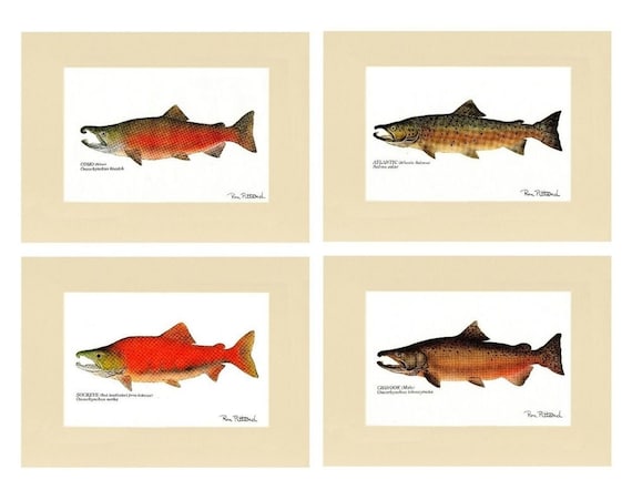 Salmon Fish Print Wall Art Set of 4 Matted/unframed Fishing | Etsy
